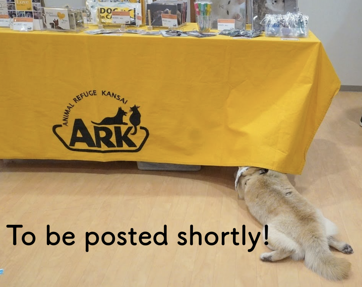 【Apr 26】Tokyo ARK Adoption Fair at K9 Natural Japan - Animal Refuge Kansai