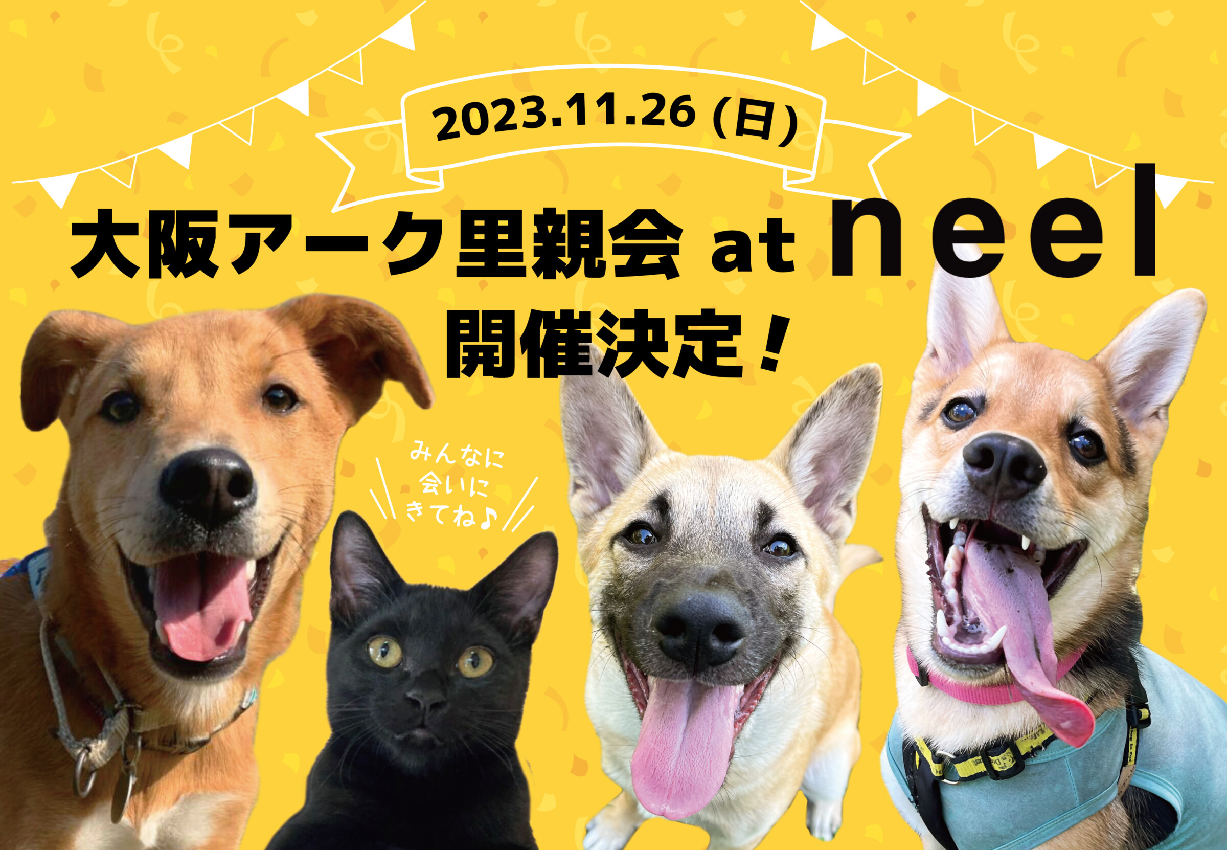 【2023.11.26】大阪アーク里親会 at neel - Animal Refuge Kansai