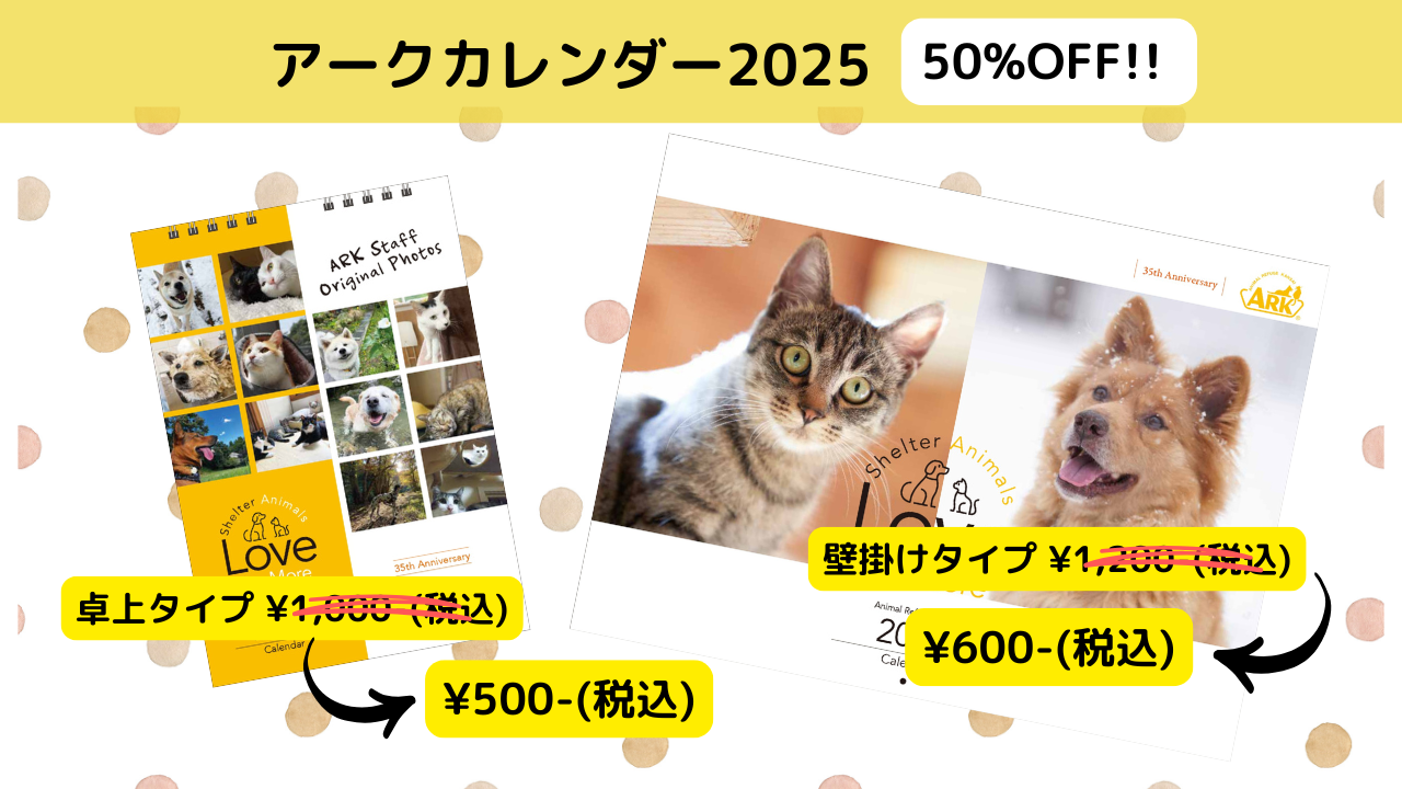ARK Calendar 2025 - Animal Refuge Kansai