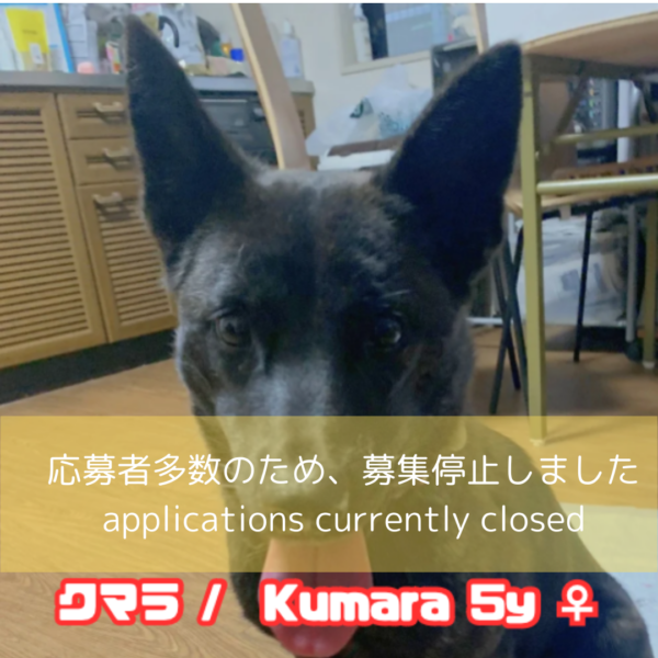 Top page - Animal Refuge Kansai