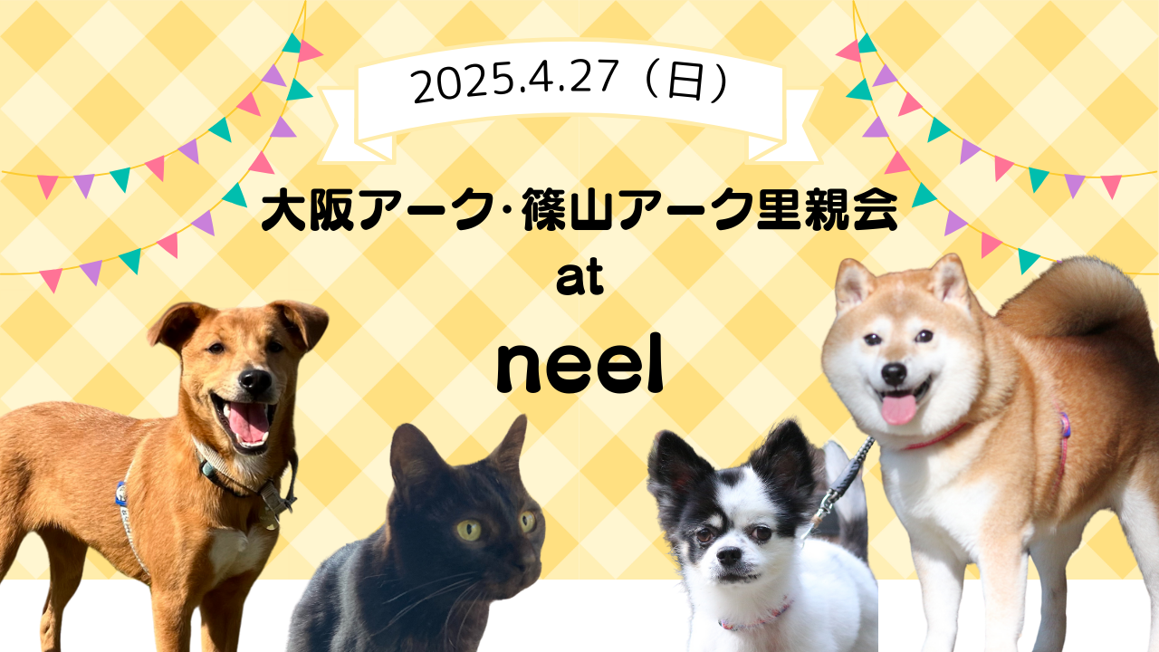 【2025.4.27】大阪アーク里親会 at neel - Animal Refuge Kansai
