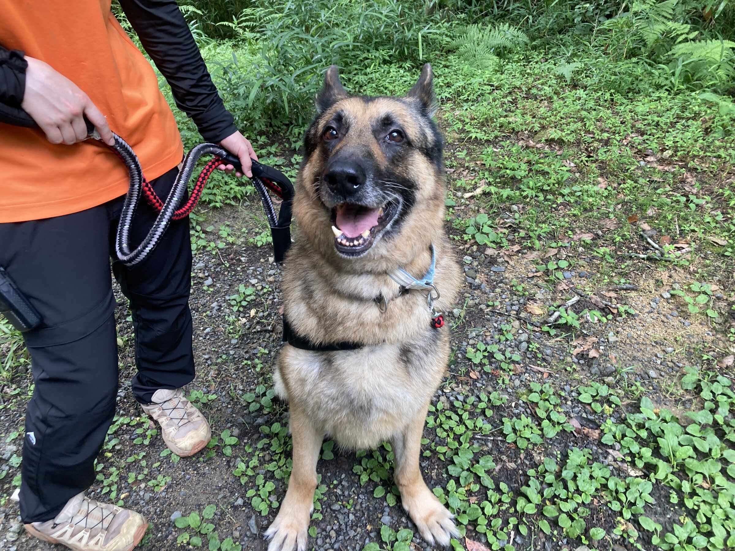 Eric - Animal Refuge Kansai