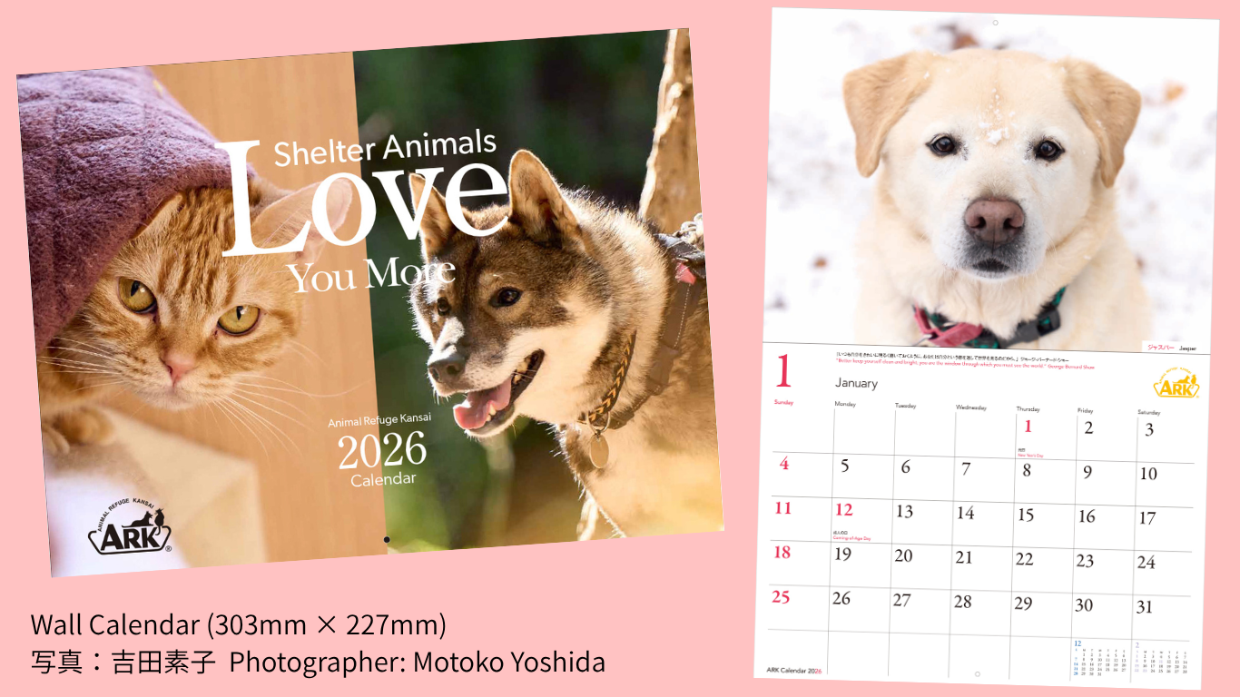 ARK Calendar 2026 - Animal Refuge Kansai